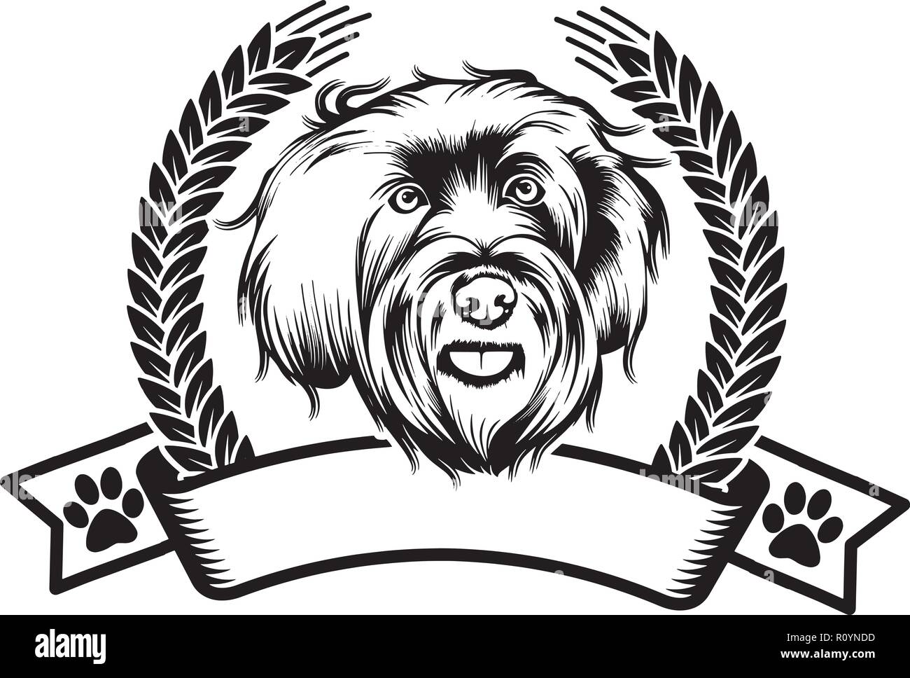 Labradoodle Dog Breed Head Isolated Pedigree Pet Portrait Smiling Happy ...