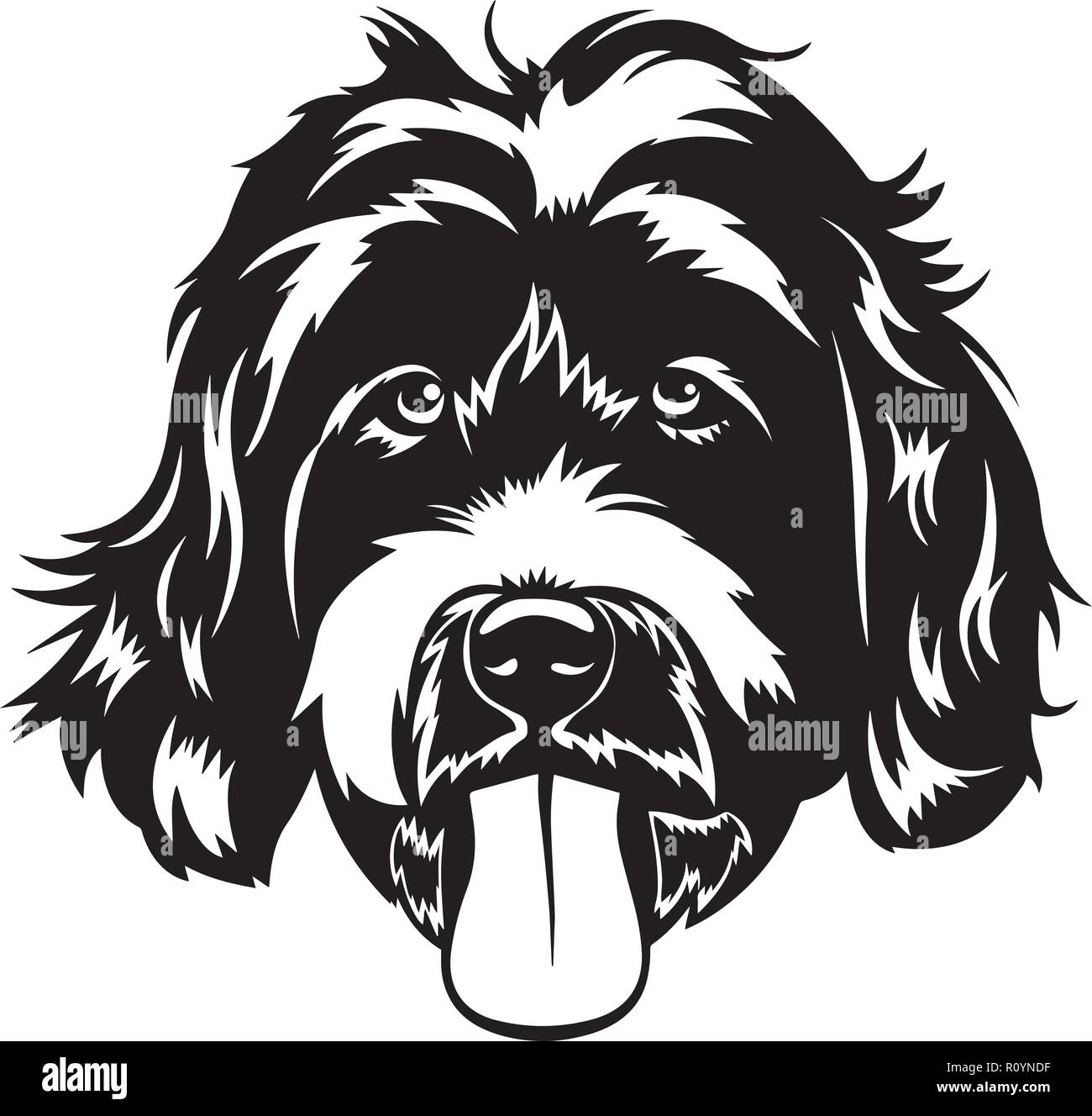 Labradoodle Dog Breed Head Isolated Pedigree Pet Portrait Smiling Happy ...