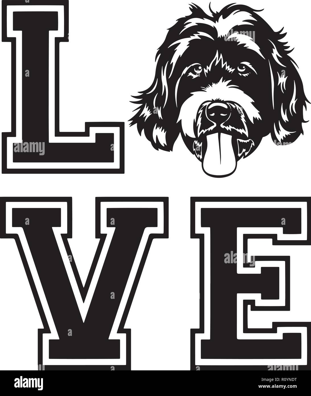 Labradoodle Dog Breed Head Isolated Pedigree Pet Portrait Smiling Happy ...