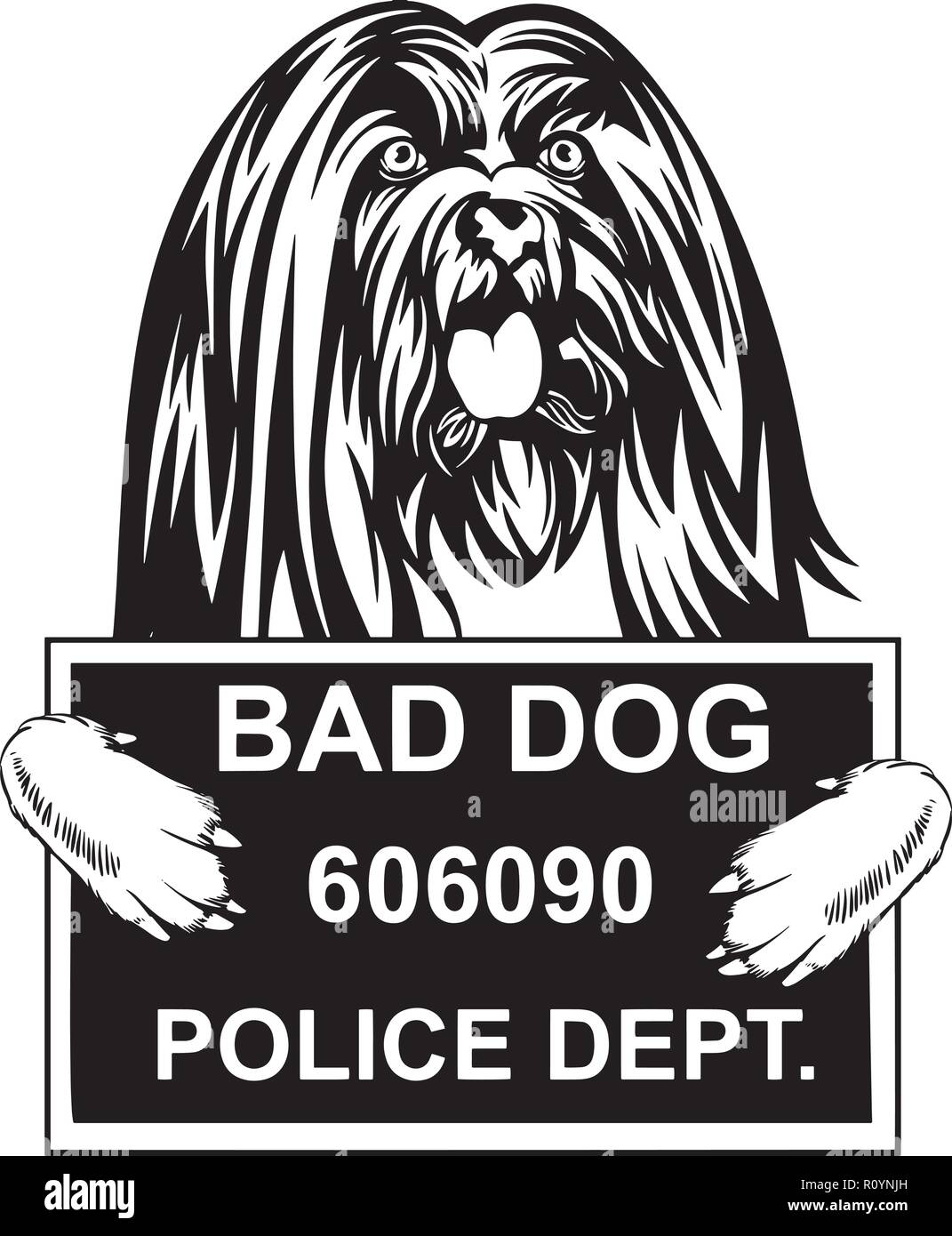 Lhasa Apso Dog Breed Head Isolated Pedigree Pet Portrait Smiling Happy ...