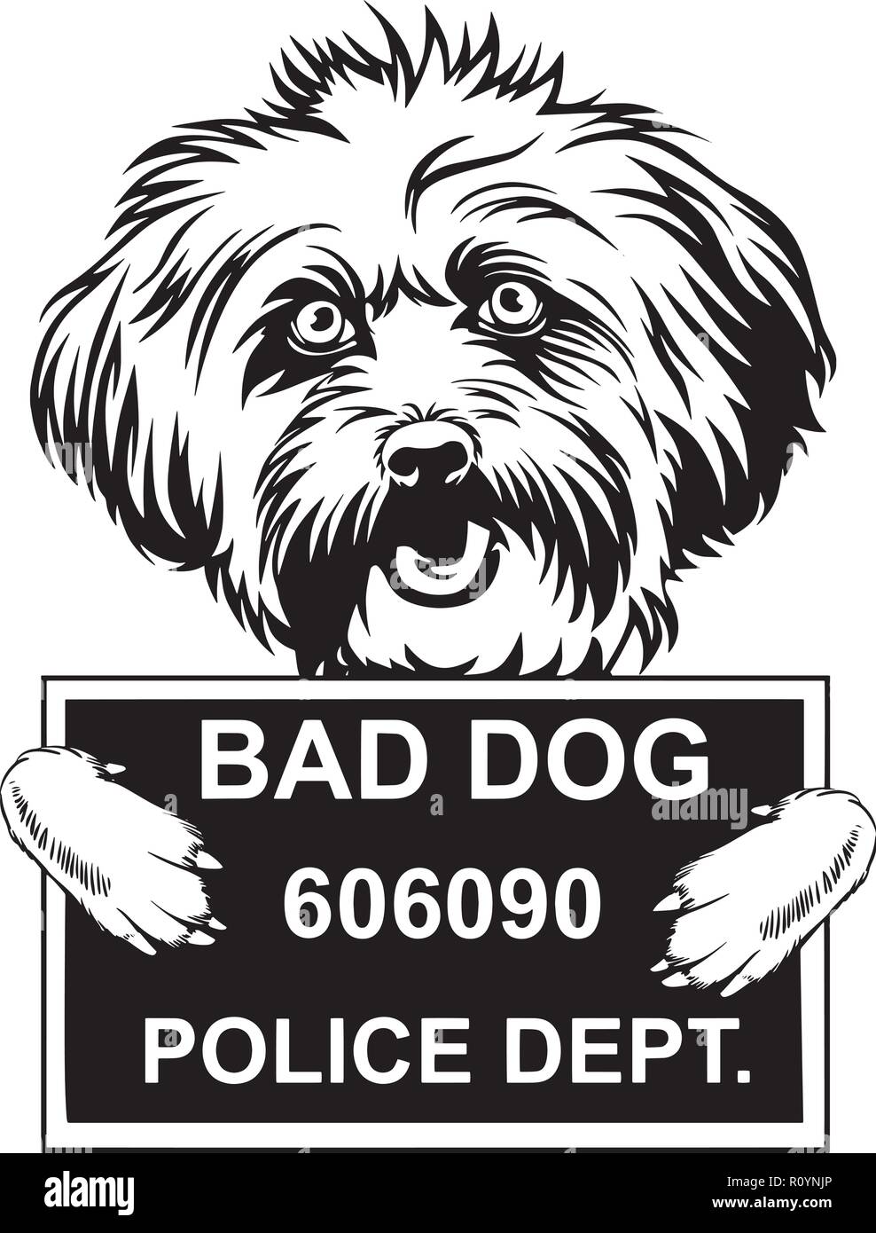 Lhasa Apso Dog Breed Head Isolated Pedigree Pet Portrait Smiling Happy ...