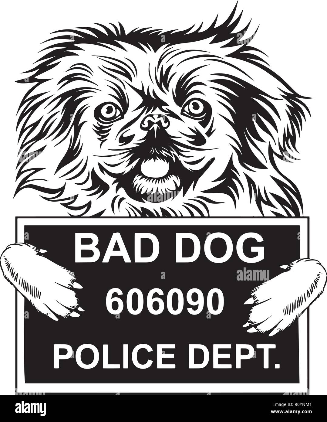 Pekingese Dog Breed Head Isolated Pedigree Pet Portrait Smiling Happy ...