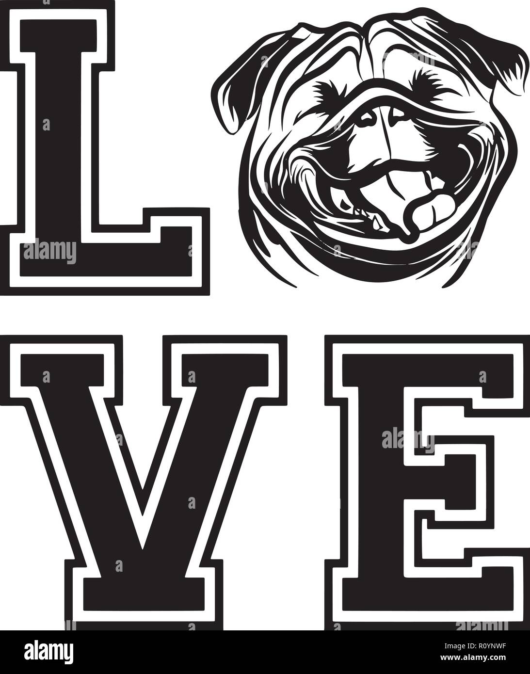 Pug Pedigree Dog Breed Head Isolated Pet Portrait Smiling Happy Puppy ...