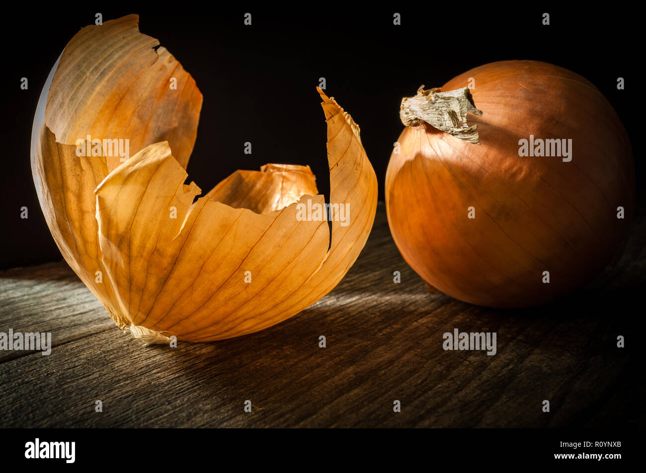 Onion skin hi-res stock photography and images - Alamy