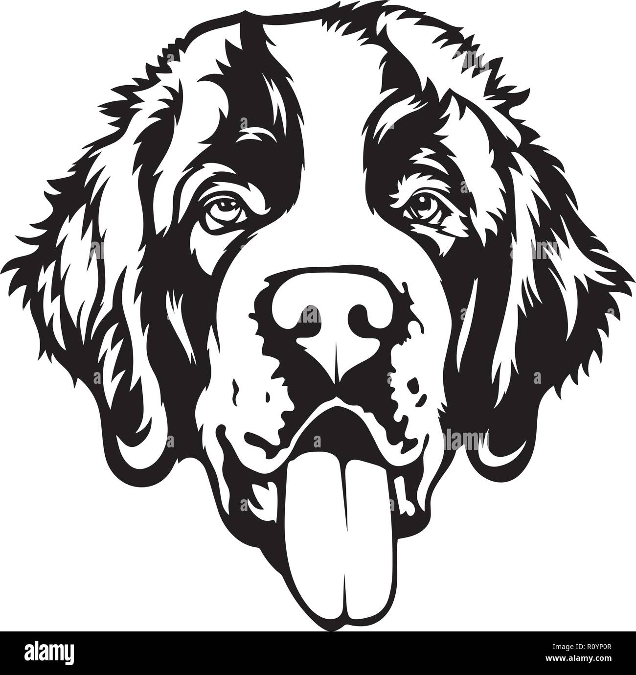 Saint Bernard Pedigree Dog Breed Head Isolated Pet Portrait Smiling ...