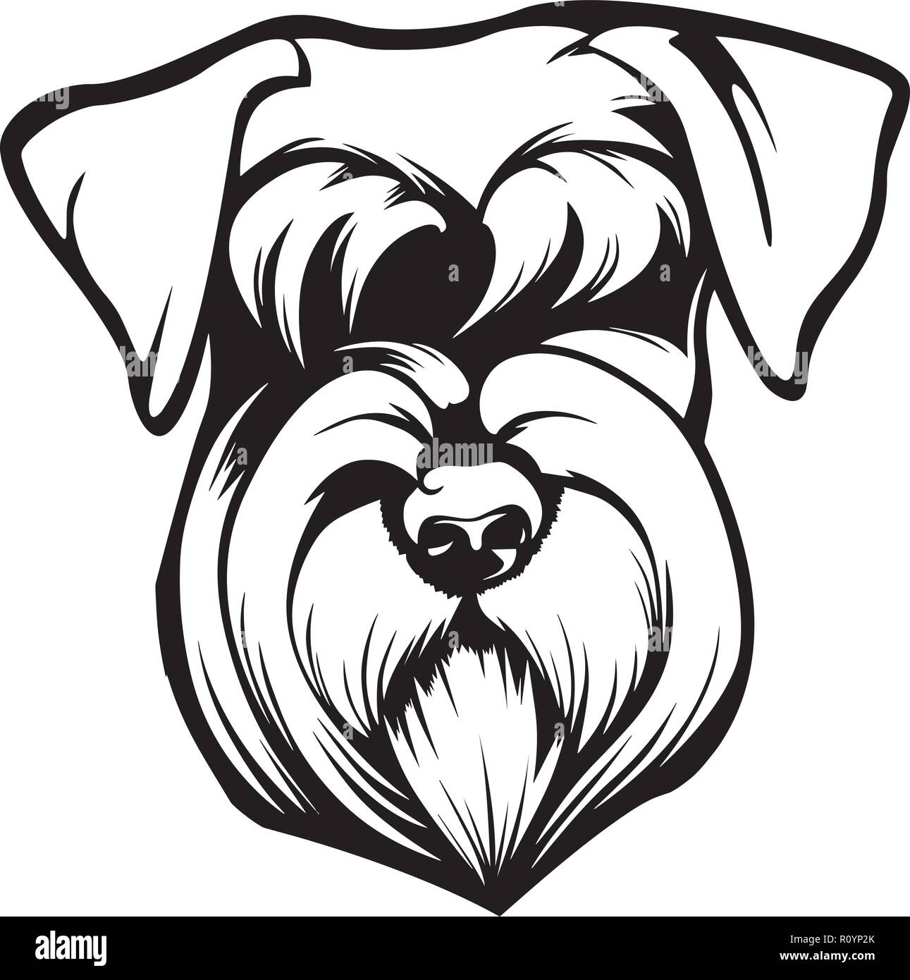 Schnauzer Pedigree Dog Breed Head Isolated Pet Portrait Smiling Happy ...