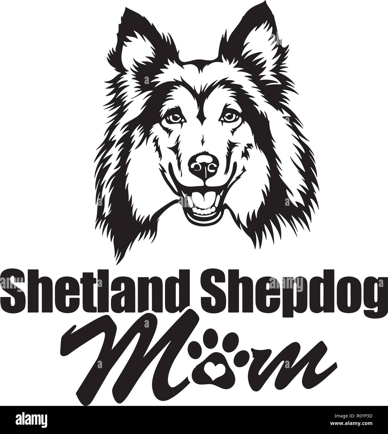 Shetland Sheepdog Pedigree Dog Breed Head Isolated Pet Portrait Smiling ...