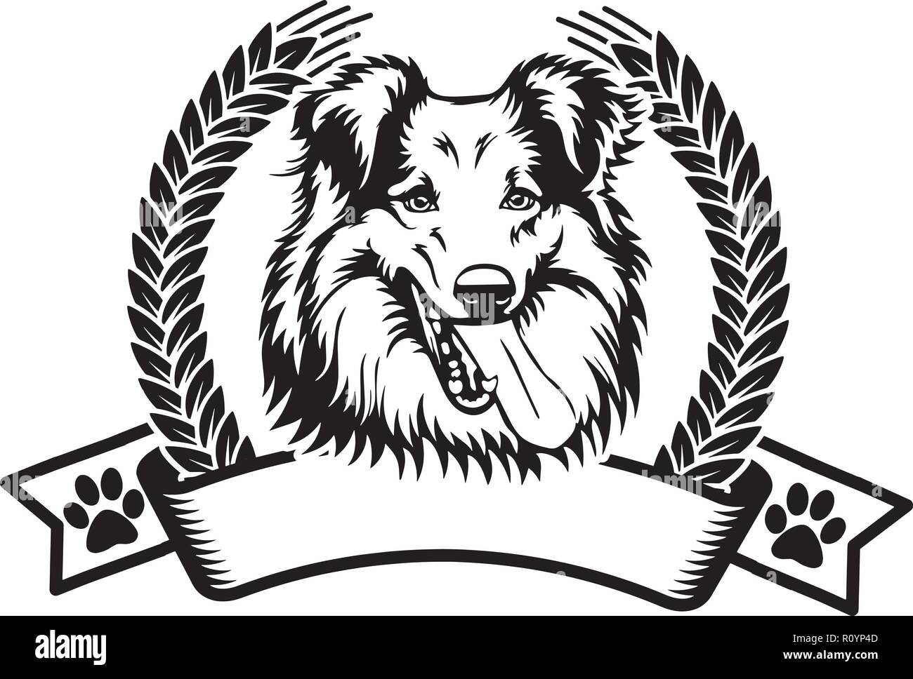 Shetland Sheepdog Pedigree Dog Breed Head Isolated Pet Portrait Smiling ...
