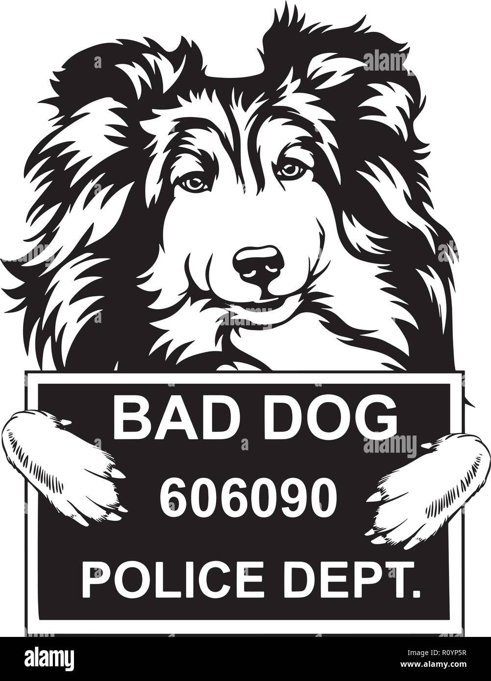 Shetland Sheepdog Pedigree Dog Breed Head Isolated Pet Portrait Smiling ...