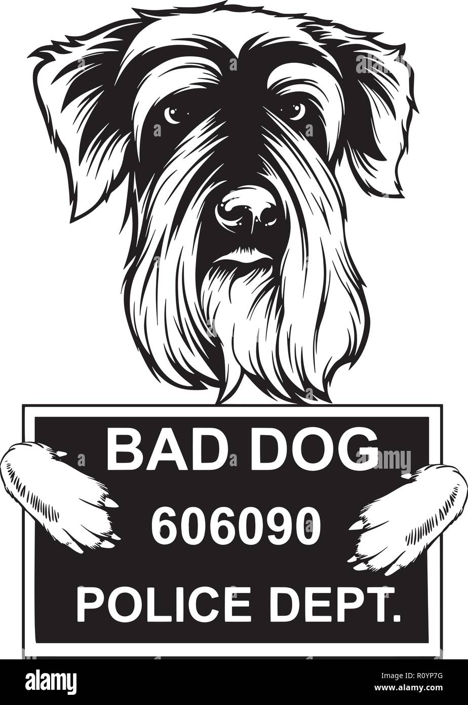 Smiling soft Stock Vector Images - Alamy