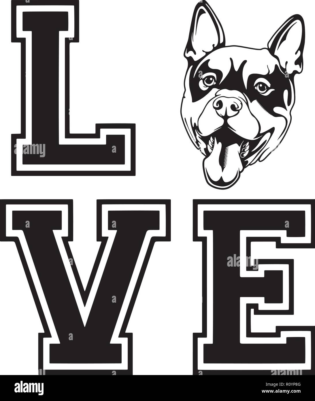 Thai Ridgeback Pedigree Dog Breed Head Isolated Pet Portrait Smiling ...