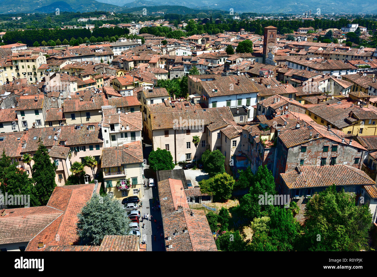 The medieval town of Lucca seen from the viewpoint on the top of ...