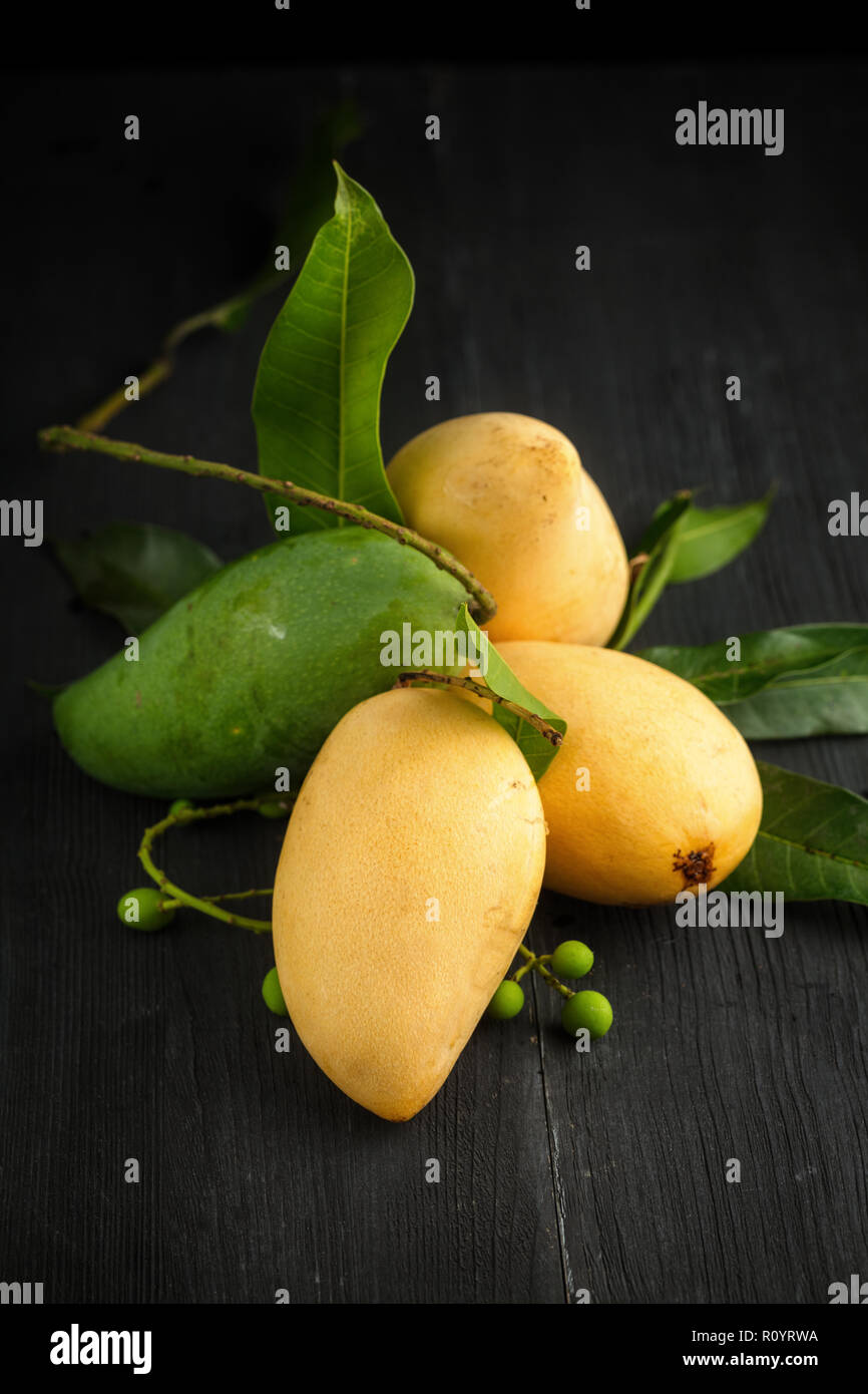 Ripe yellow and green Mango on dark background., vertical composition ...