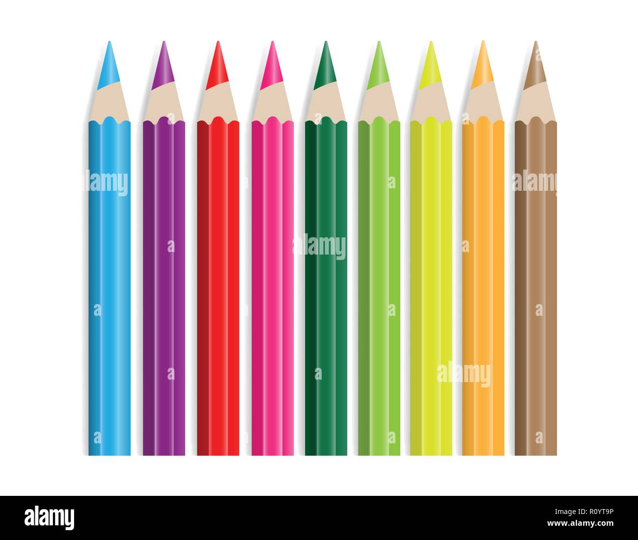 Set of colour pencils in row isolated on white background, Vector ...