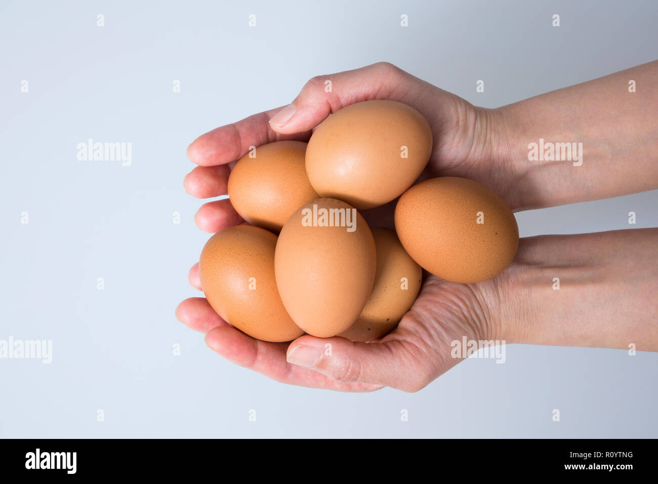 Close up of an eggs object concept photo. group or crack of eggs. 063 ...