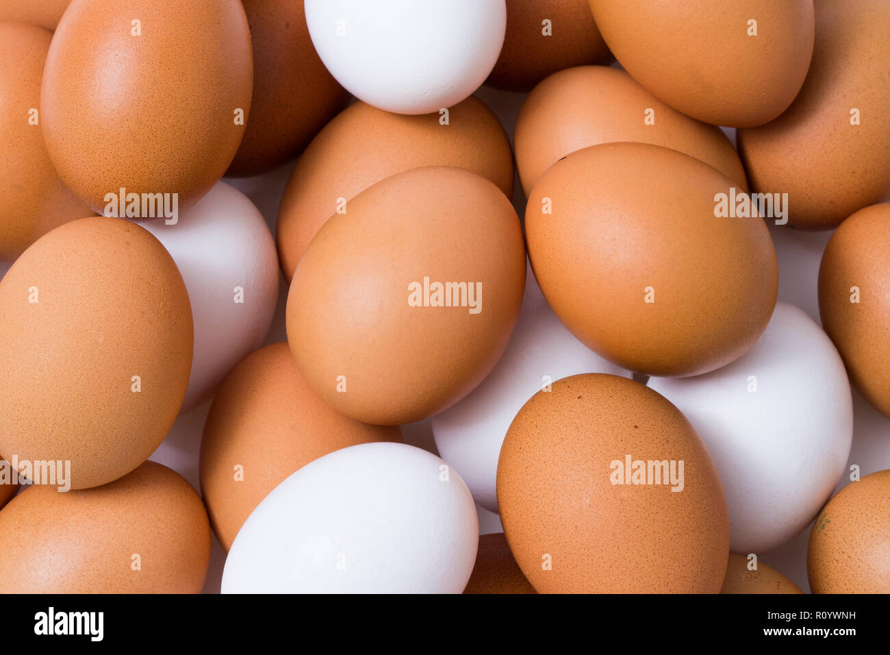 Close up of an eggs object concept photo. group or crack of eggs. 019 ...