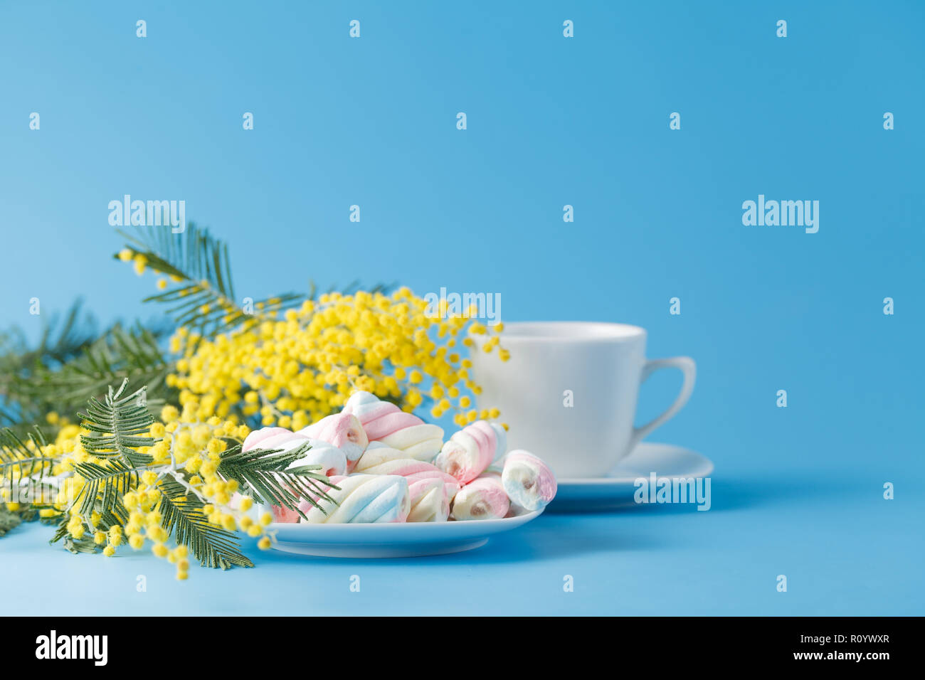 Cup of tea with spring flowers on blue background Stock Photo - Alamy