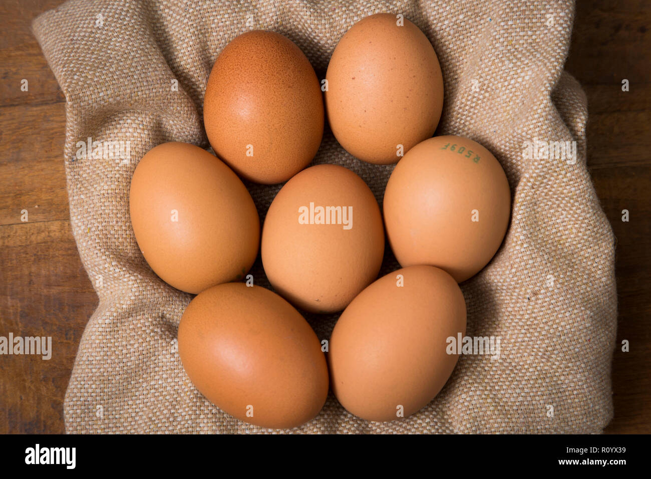 Close up of an eggs object concept photo. group or crack of eggs. 008 ...