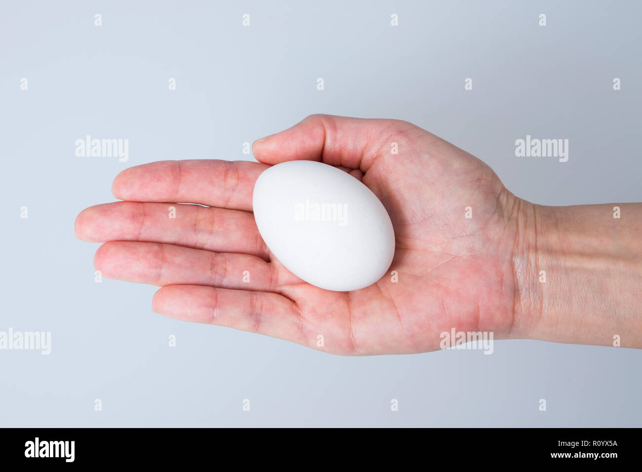 Close up of an eggs object concept photo. group or crack of eggs. 005 ...