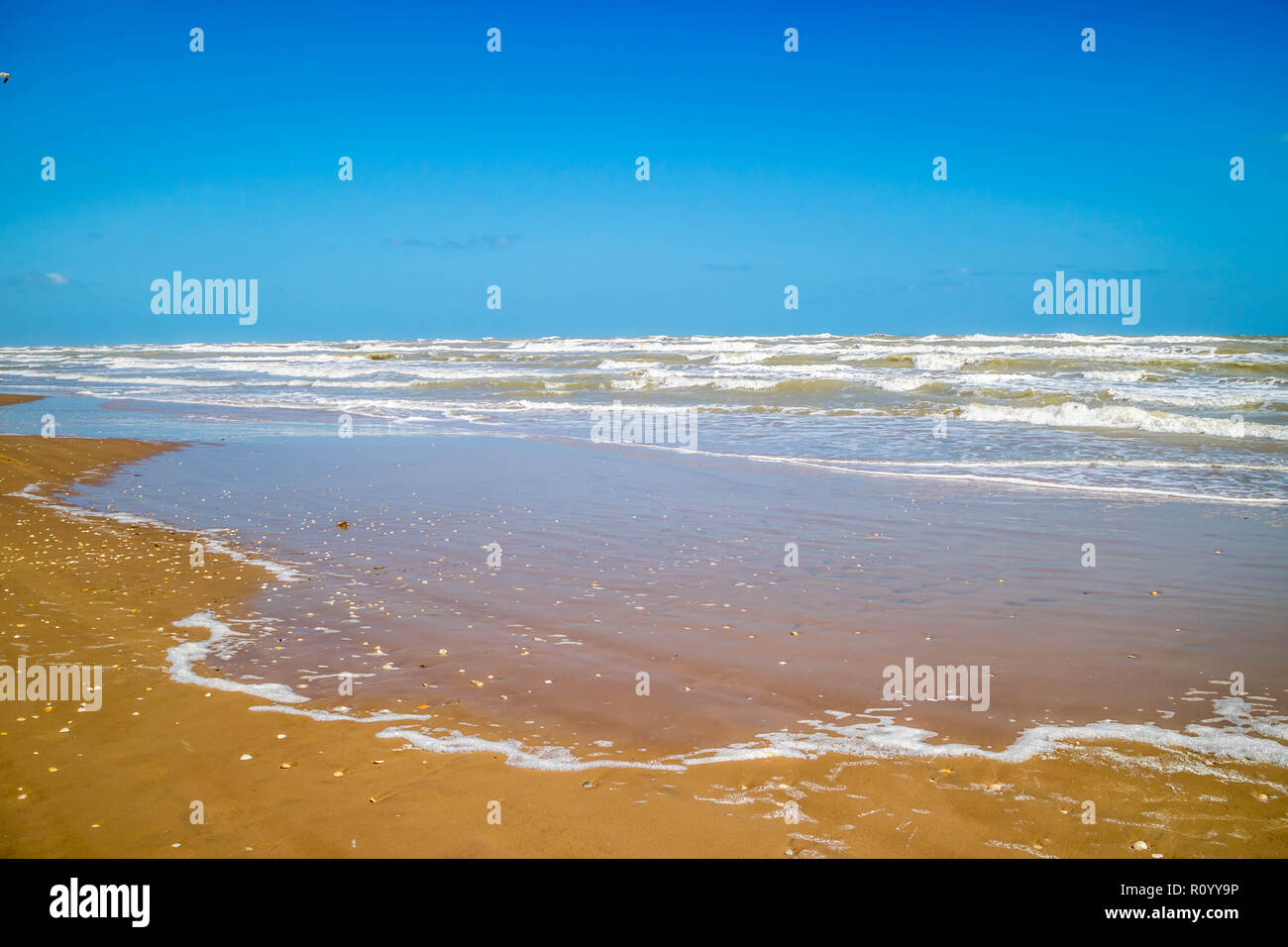 A beautiful soft and fine sandy beach along the gulf coast of Texas in ...