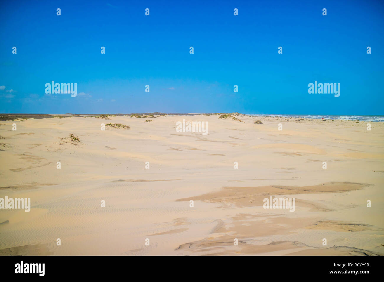 A beautiful soft and fine sandy beach along the gulf coast of Texas in ...