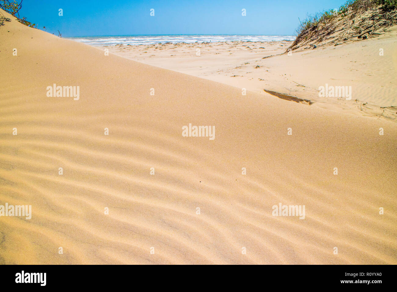 A beautiful soft and fine sandy beach along the gulf coast of Texas in ...