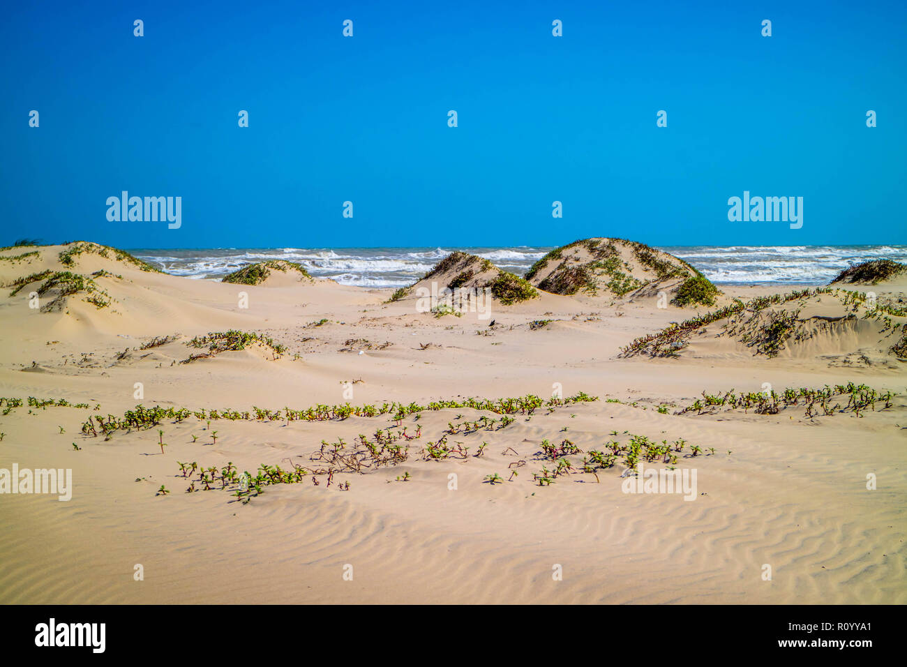 A beautiful soft and fine sandy beach along the gulf coast of Texas in ...