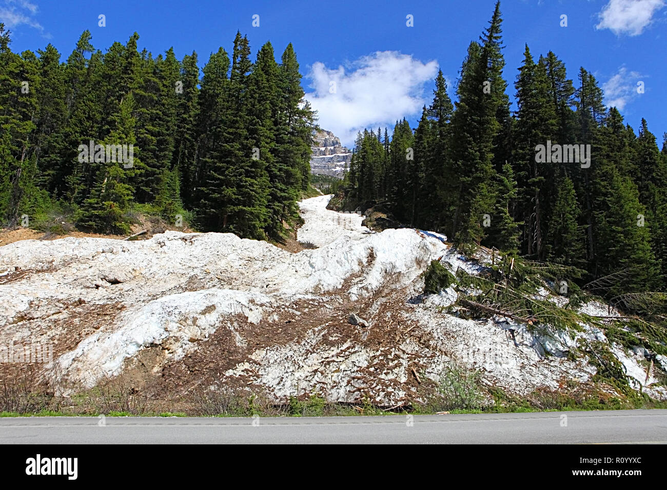 Snow slide on #93. Banff to Jasper Highway Highway, Alberta, Canada ...