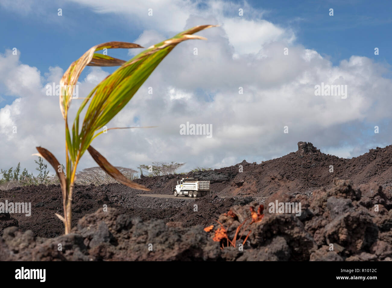 Pahoa, Hawaii - Trucks traverse a road being built on cooled lava from ...