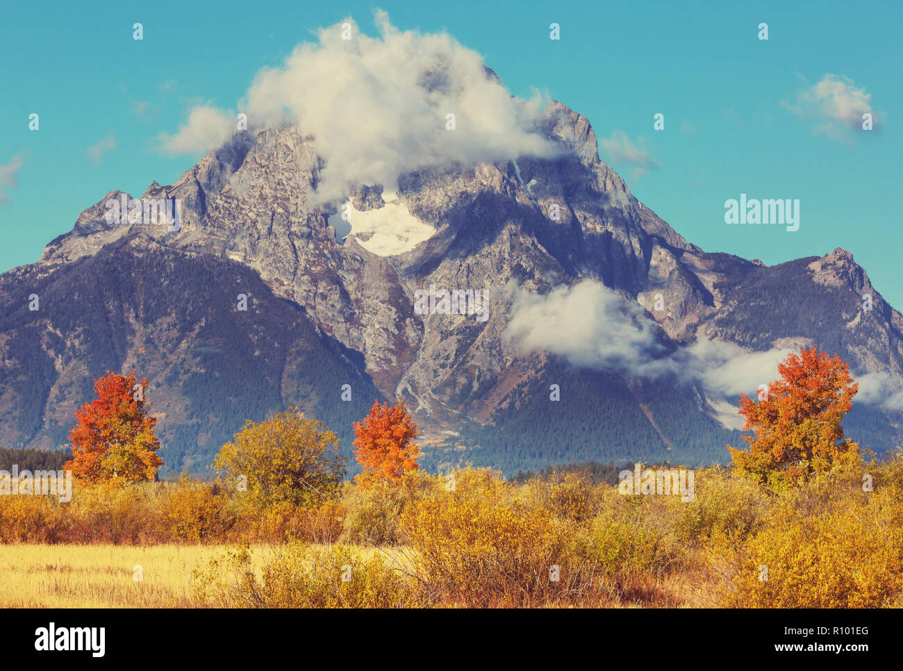 Bright colors of the Fall season in Grand Teton National Park, Wyoming ...