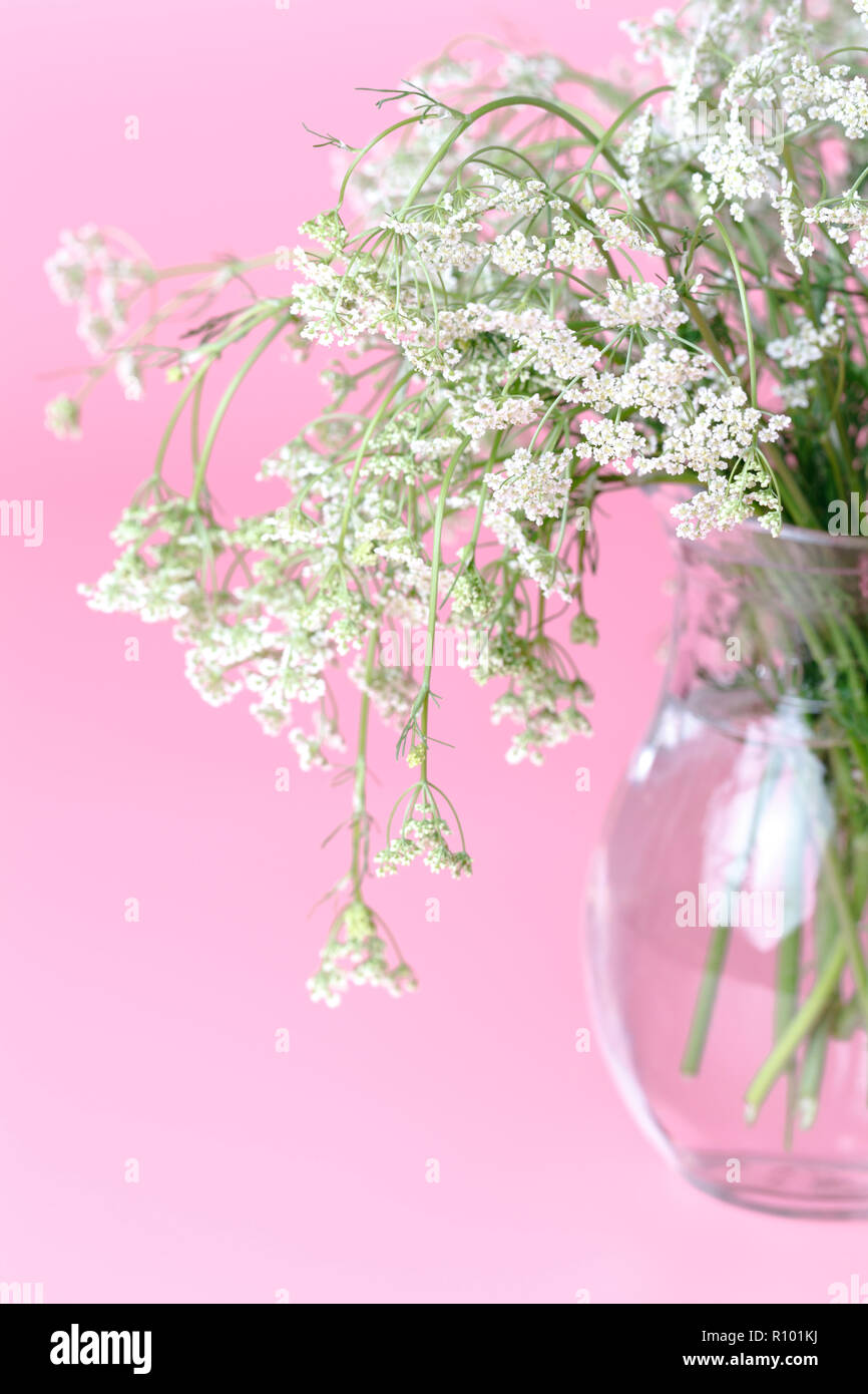 Small and fragrant spring flowers Stock Photo - Alamy