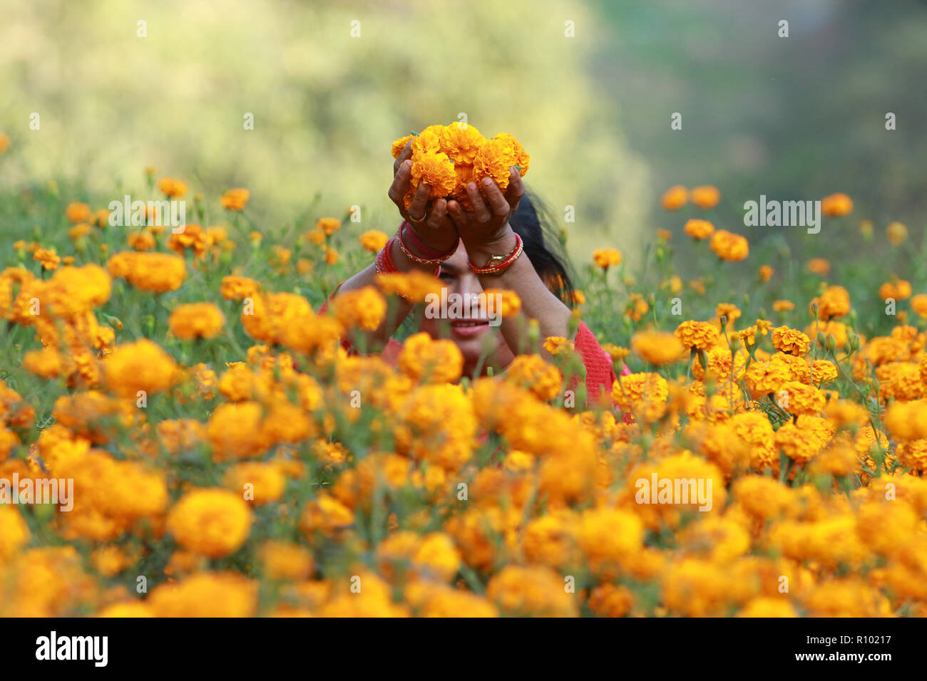 Tihar Festival Stock Photos & Tihar Festival Stock Images - Alamy