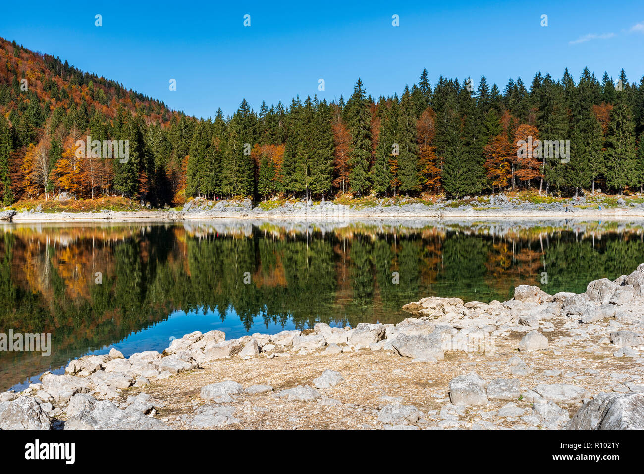 Fiery autumn. Reflections on the upper lake of Fusine. Friuli Stock ...