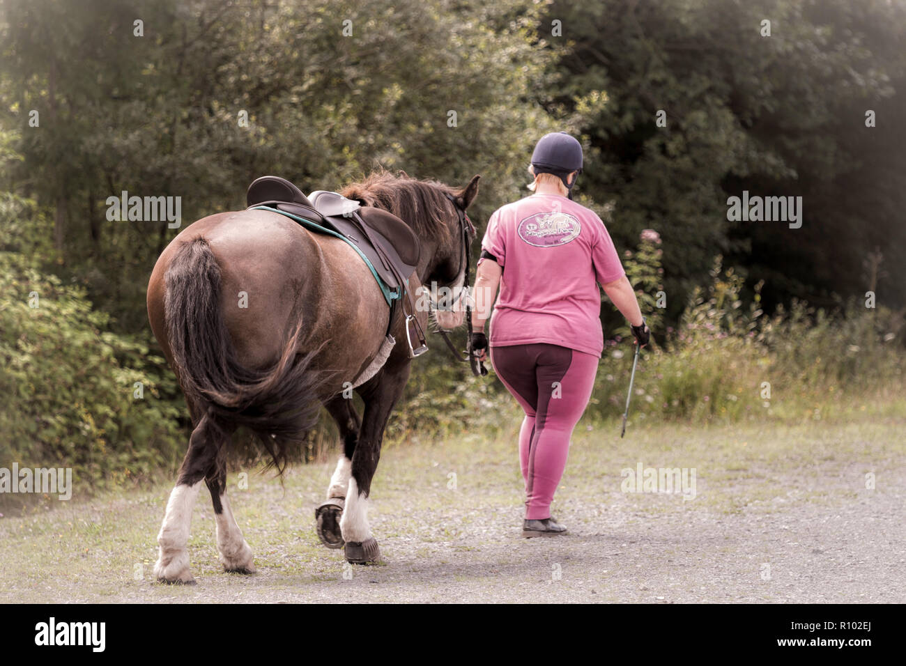 Horse rider walking the horse for a well earned rest. South Wales UK ...