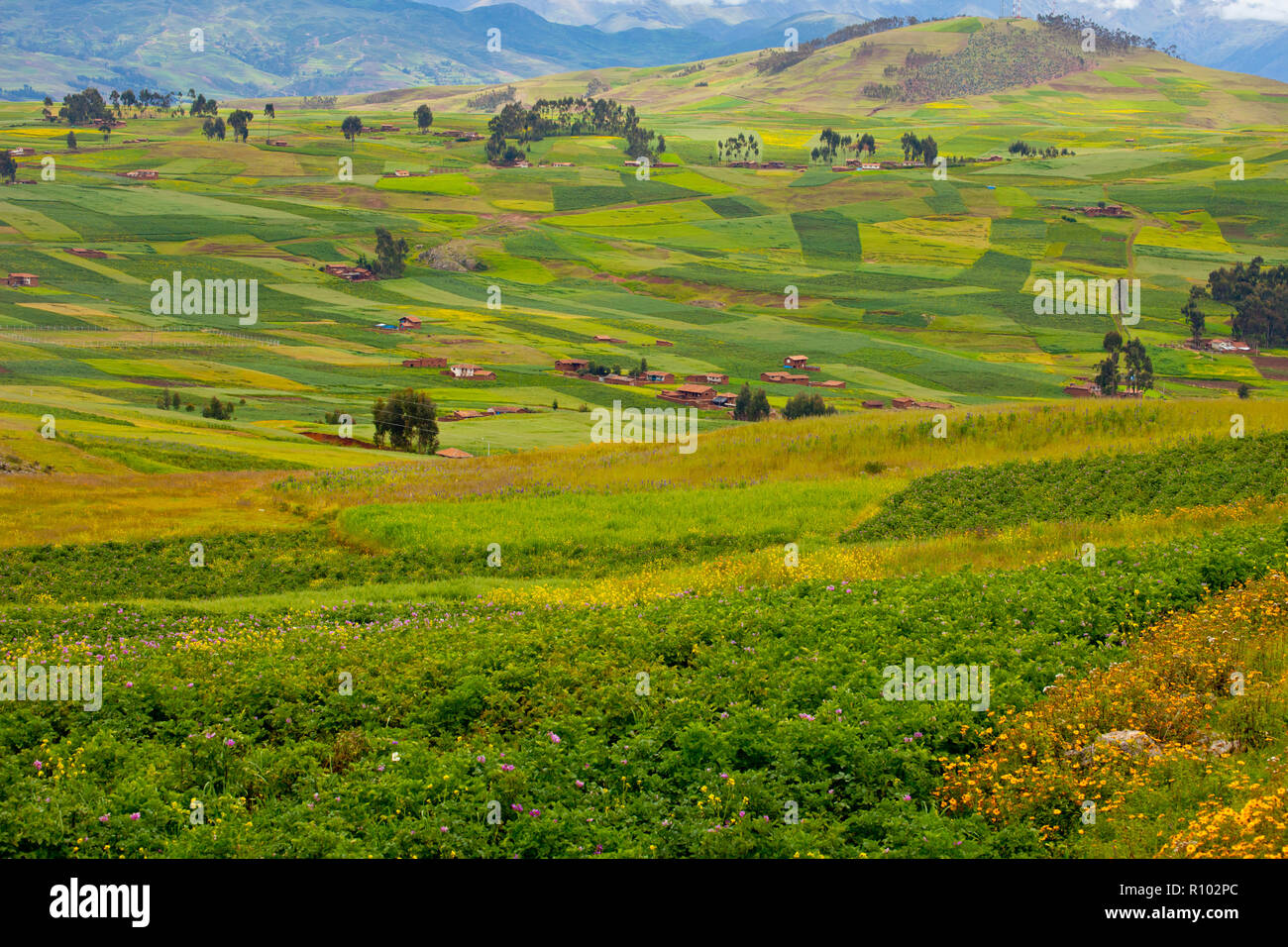 Landscapes of Peru Stock Photo - Alamy