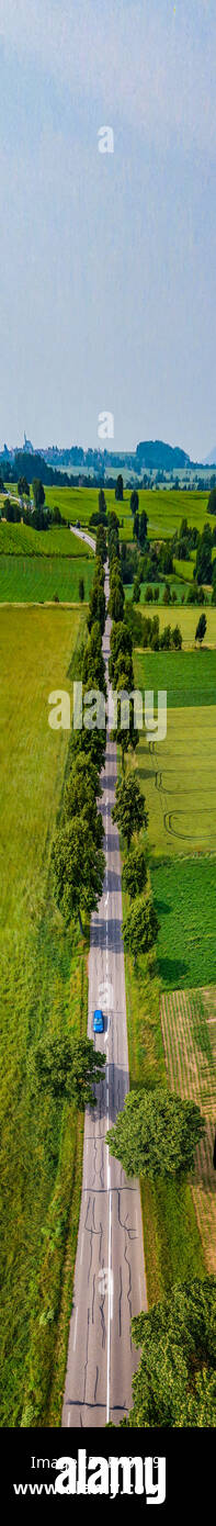 Vertical panoramic view of road made from drone. Useful for tall banner ...