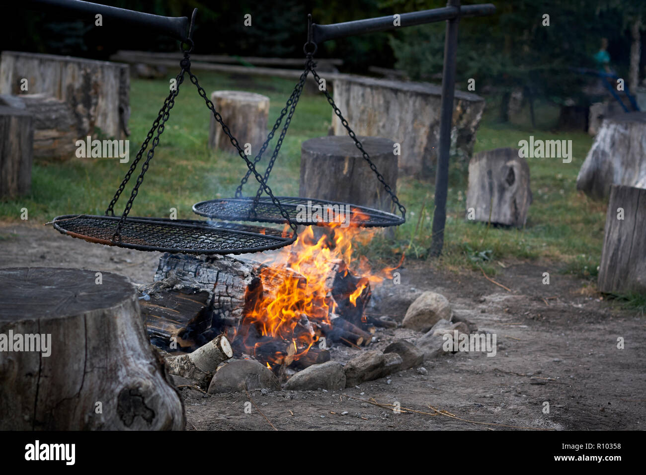 Fireplace with burning fire surrounded with stumps Stock Photo - Alamy
