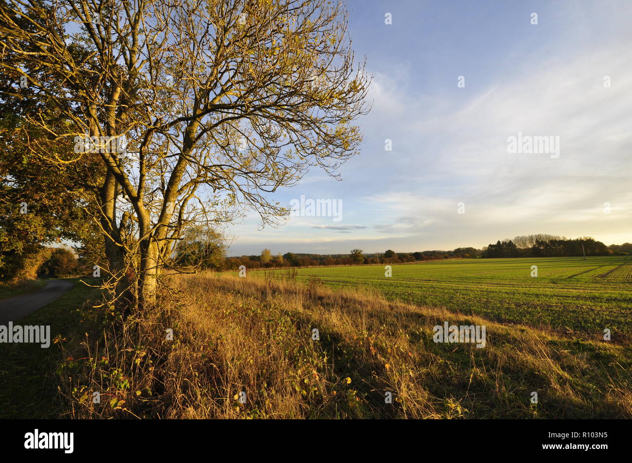 Briston norfolk hi-res stock photography and images - Alamy