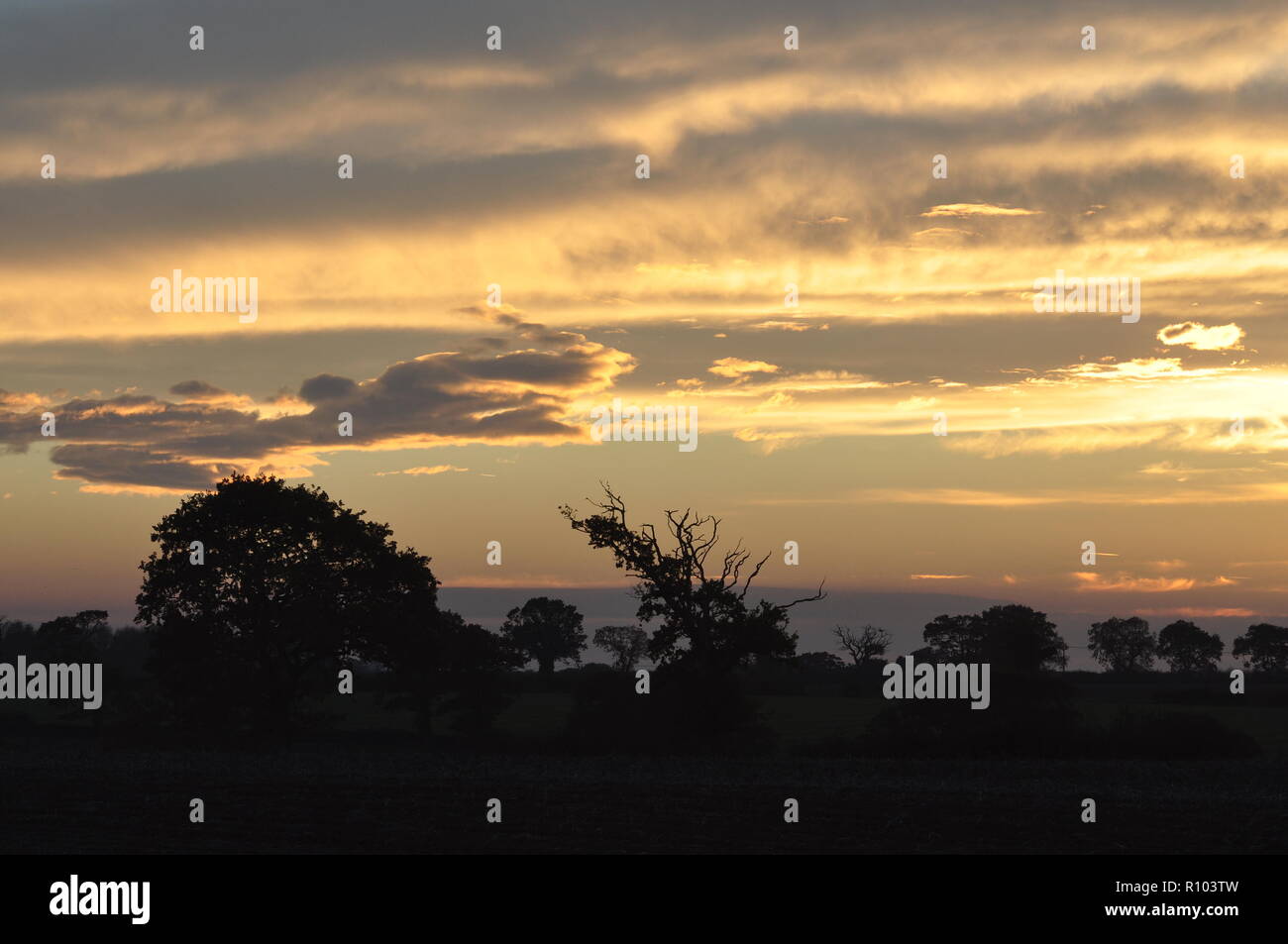 Autumn sunset west of Little Barningham, Norfolk, England UK Stock ...
