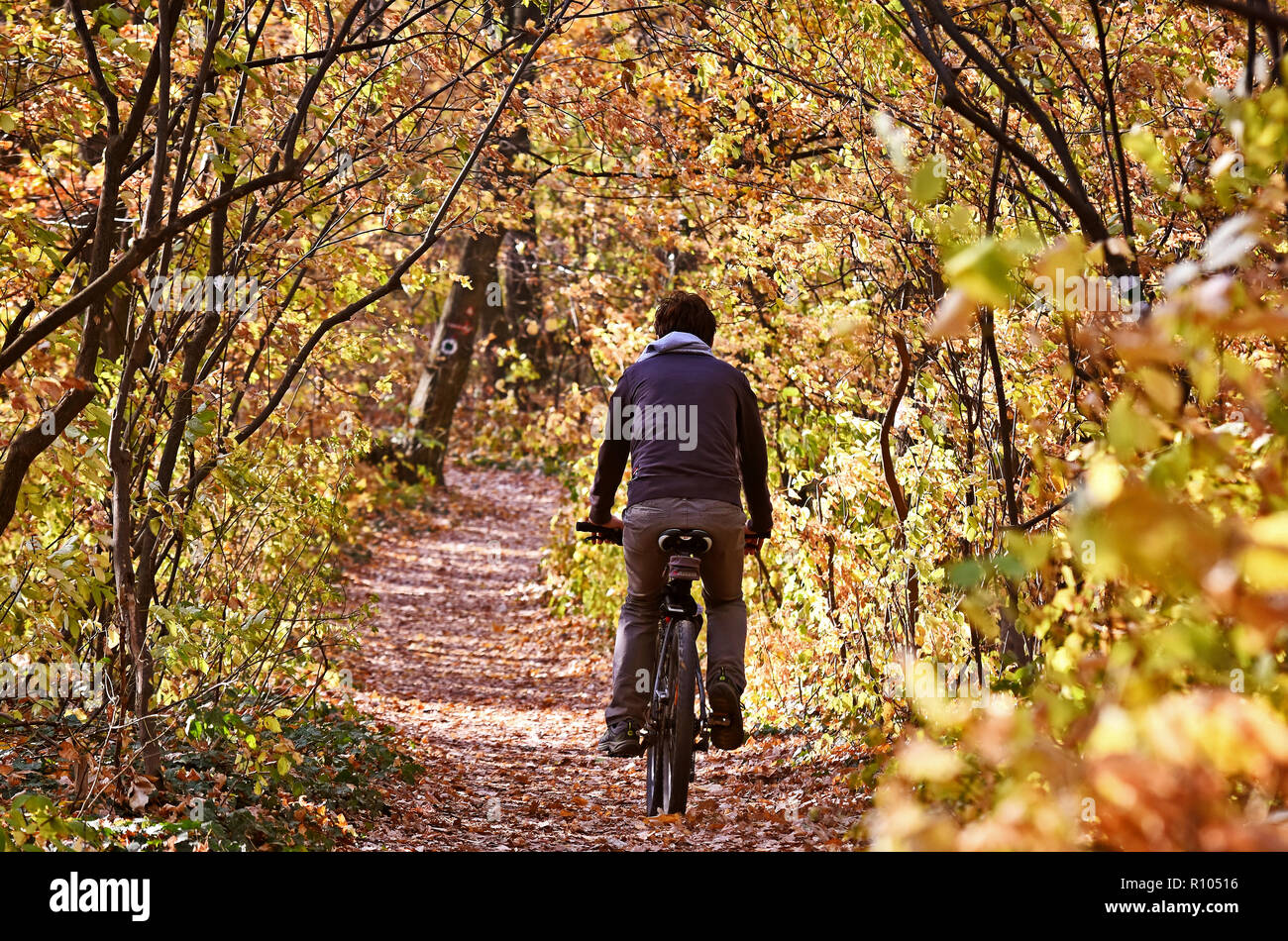 Cycling pack autumn hi-res stock photography and images - Alamy