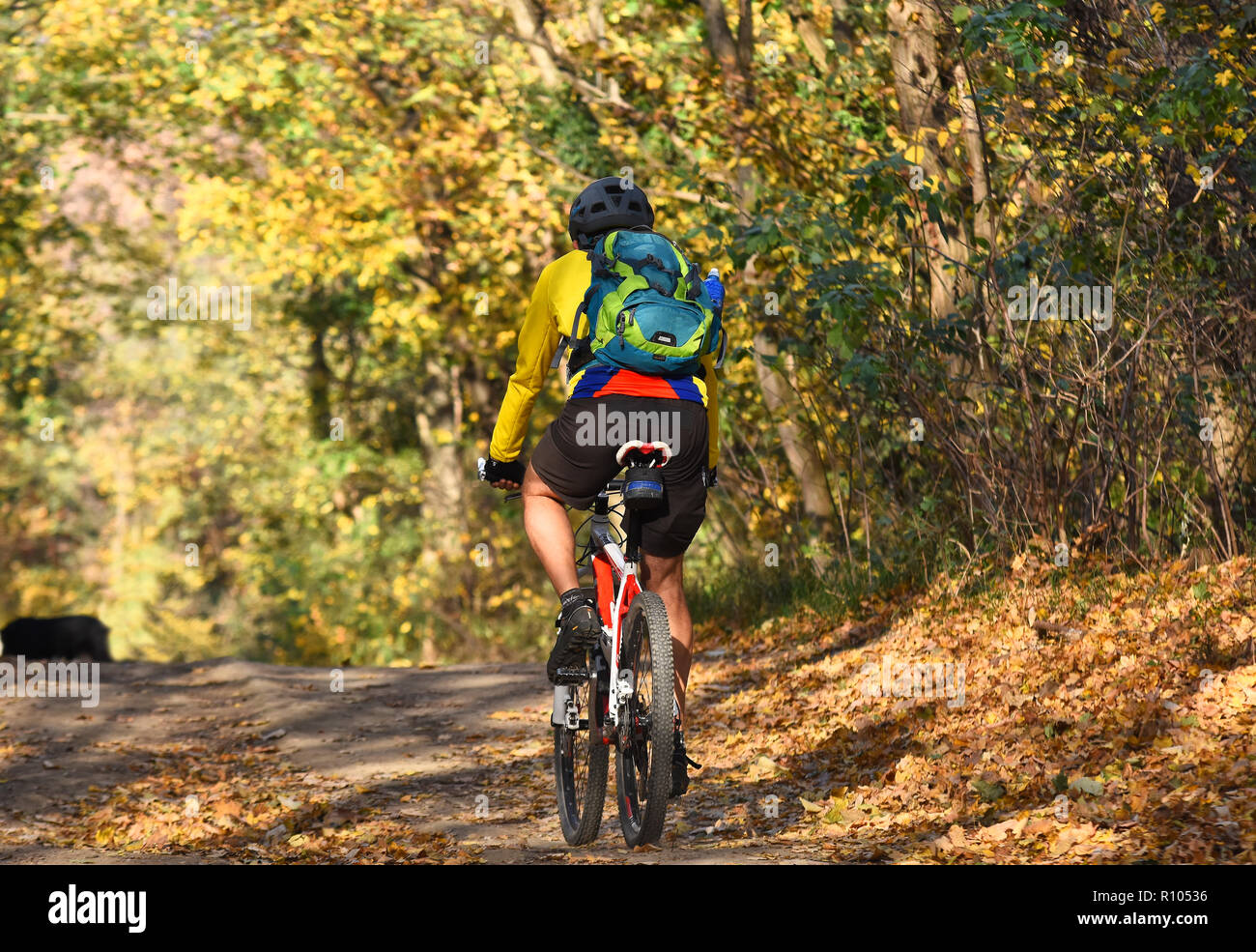 Cycling pack autumn hi-res stock photography and images - Alamy