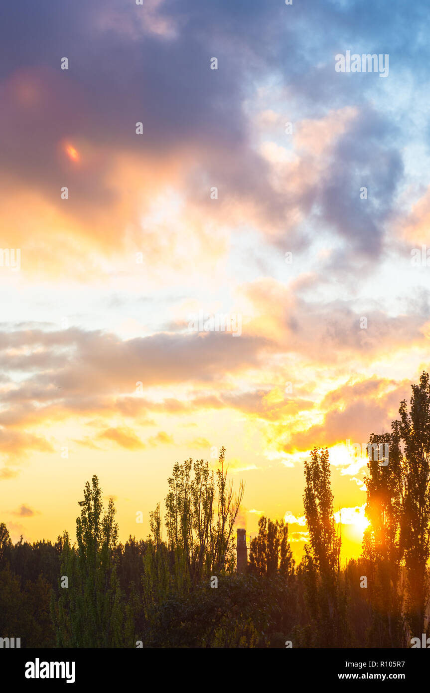 Landscape with dramatic light - beautiful golden sunset with saturated ...