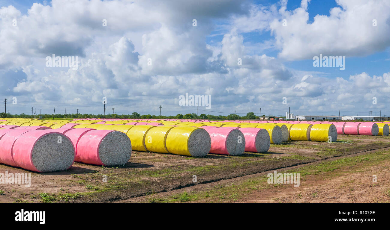 Cotton rolls hi-res stock photography and images - Alamy