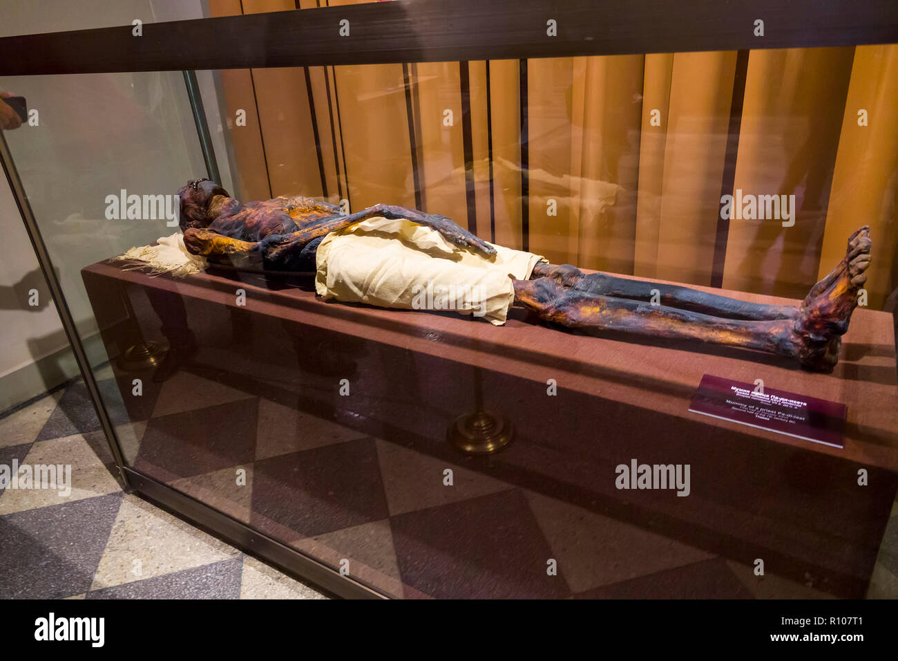 Mummy of a priest State Hermitage Museum St saint Petersburg, Russian ...