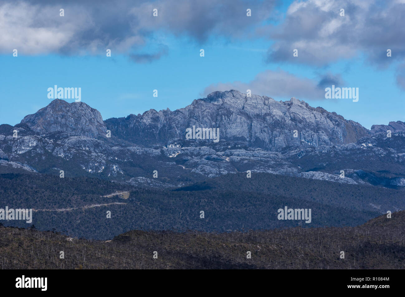 Limestone peak of Gunung Puncak Trikora. At 4750 m, it is the second ...