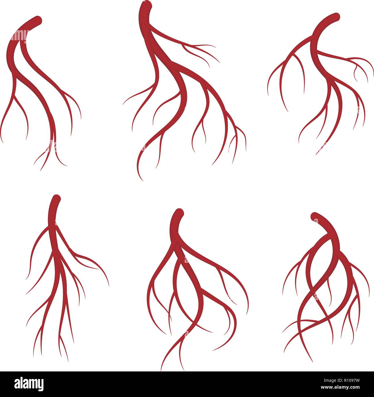 Nerve roots Stock Vector Images - Alamy