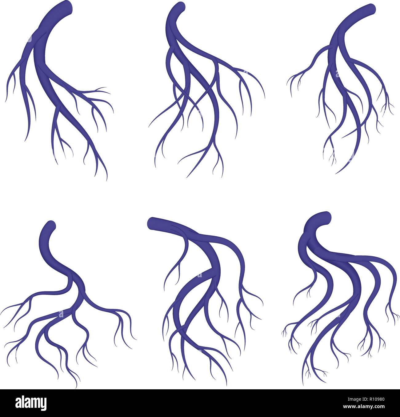 Human veins, red blood vessels set. Realistic vector medical ...