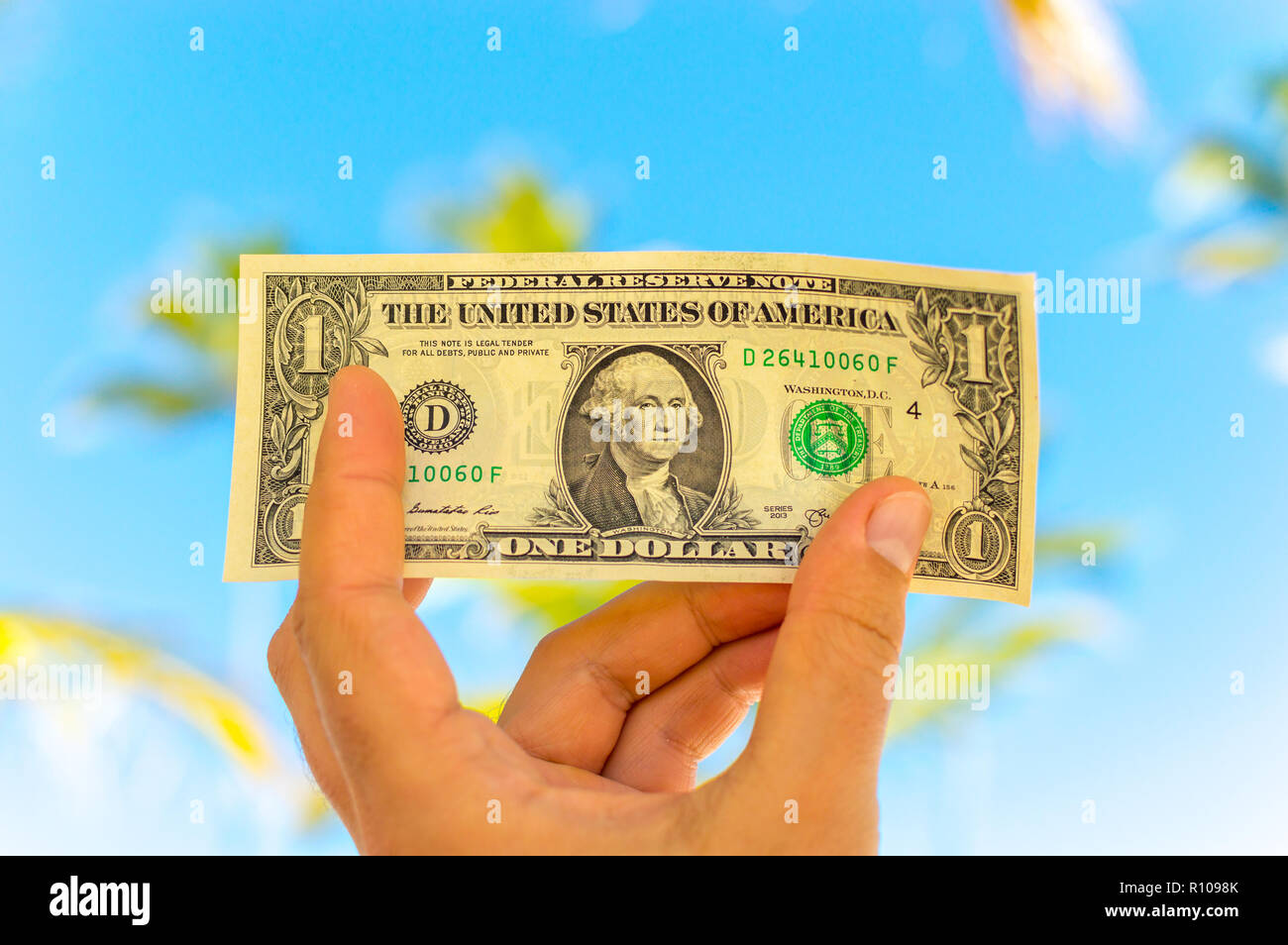 Hand holding an american dollar among the palm trees Stock Photo - Alamy