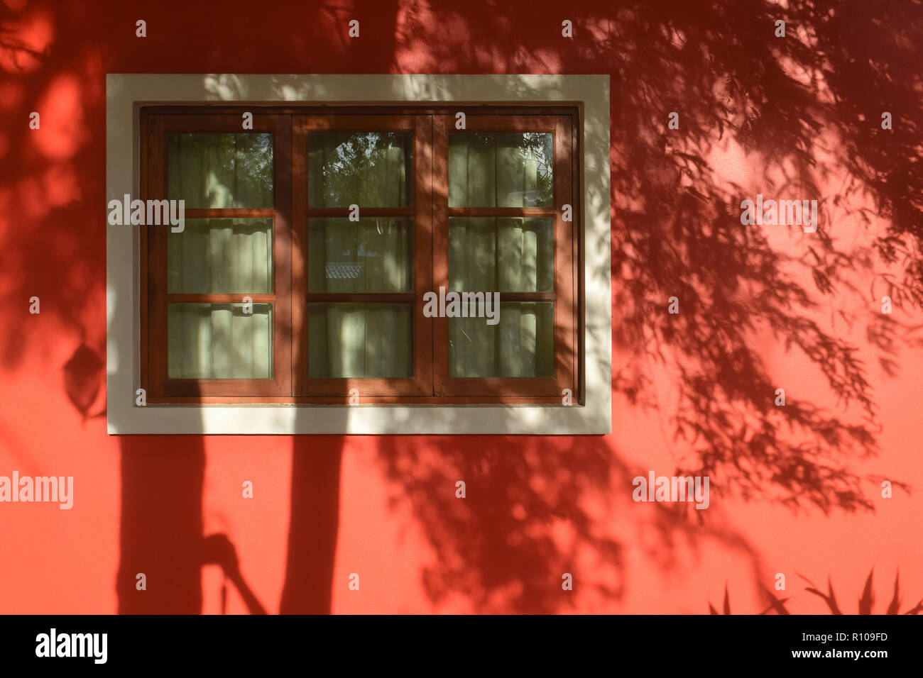 Red wall with window and shadow of tree and leave on it Stock Photo - Alamy