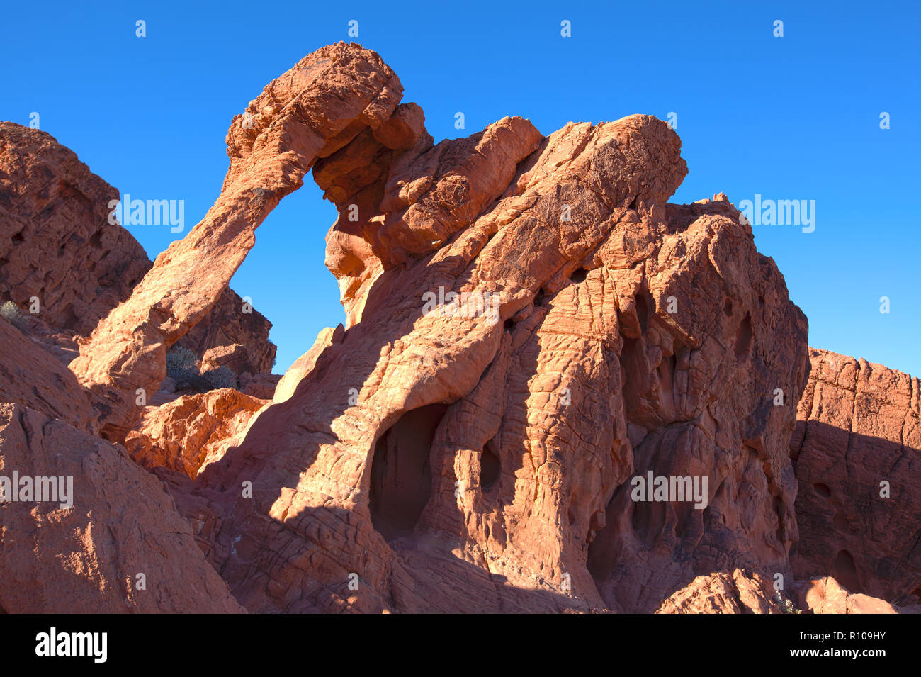 Elephant Rock Formation